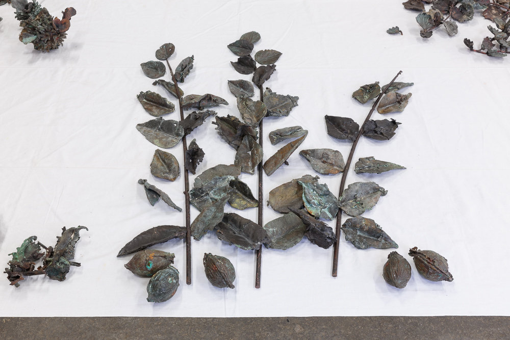 Abbas Akhavan: variations on a garden at DRAF