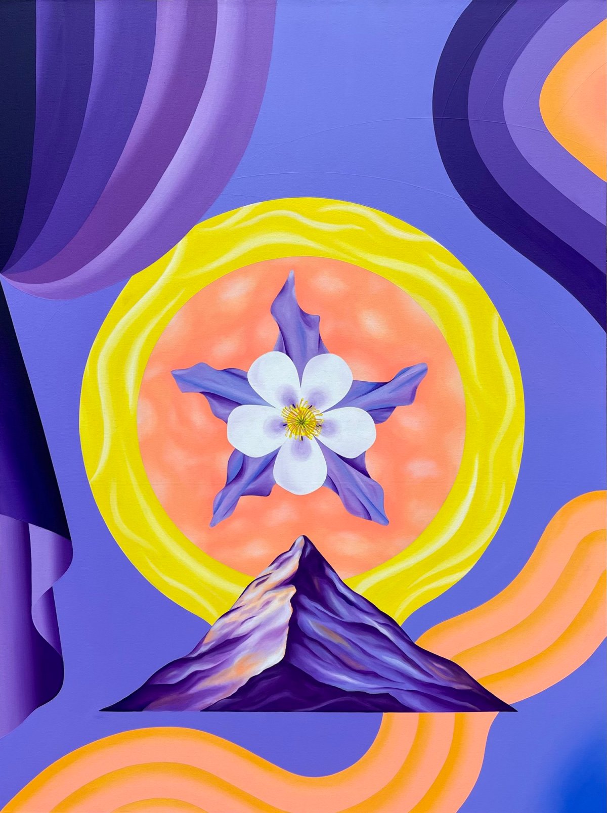 Violet Columbine Artwork Galleriesnow