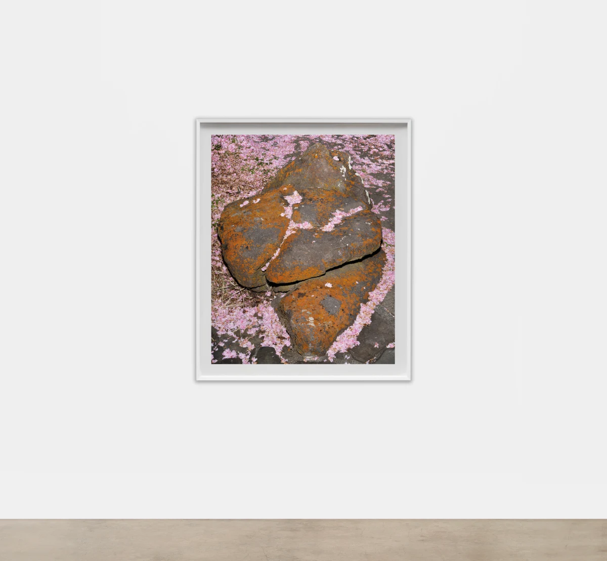 Garden II - Artwork | GalleriesNow